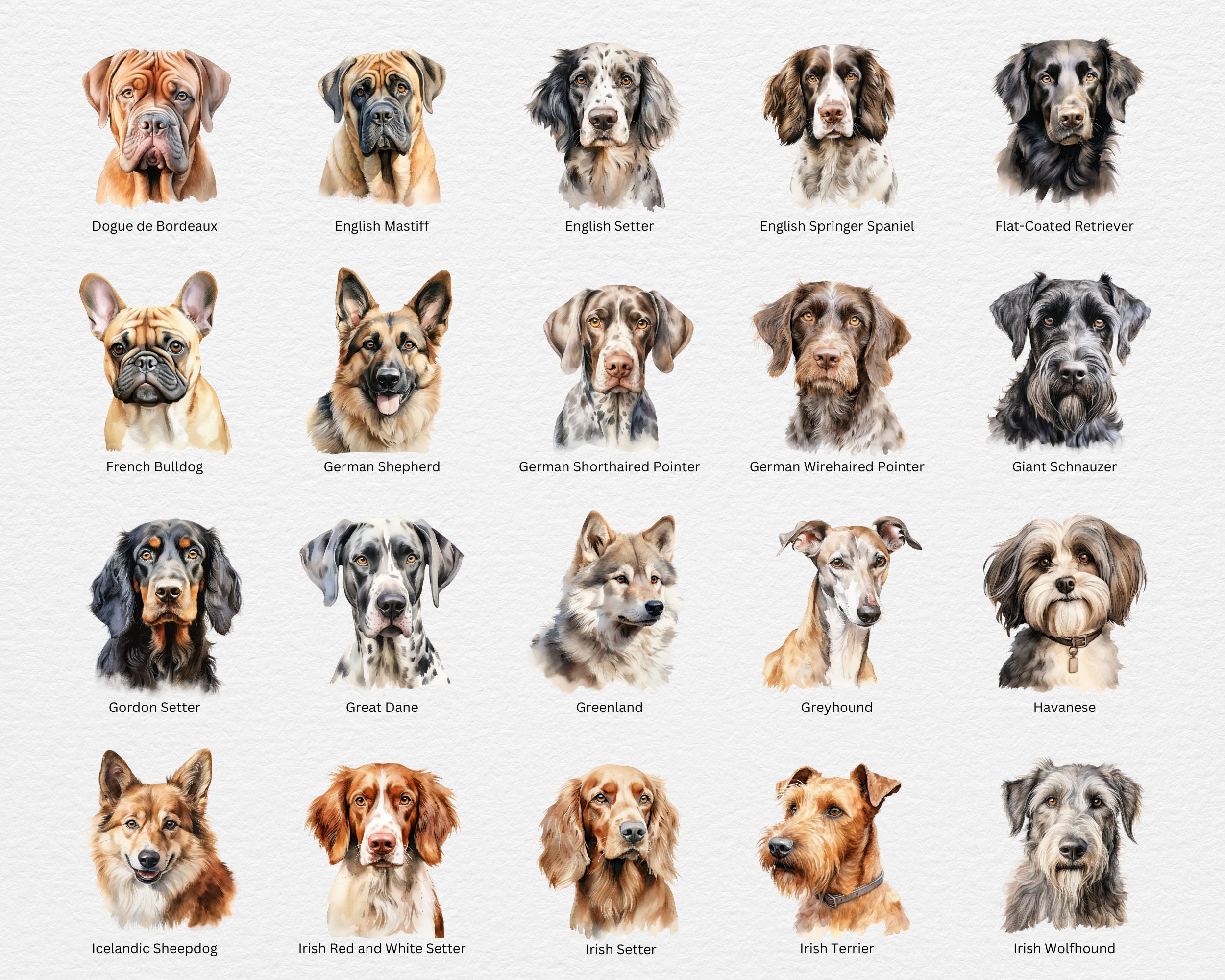 Dogs Clipart Bundle, 100 Dog Breeds, Pet Watercolor Portrait, Cute ...