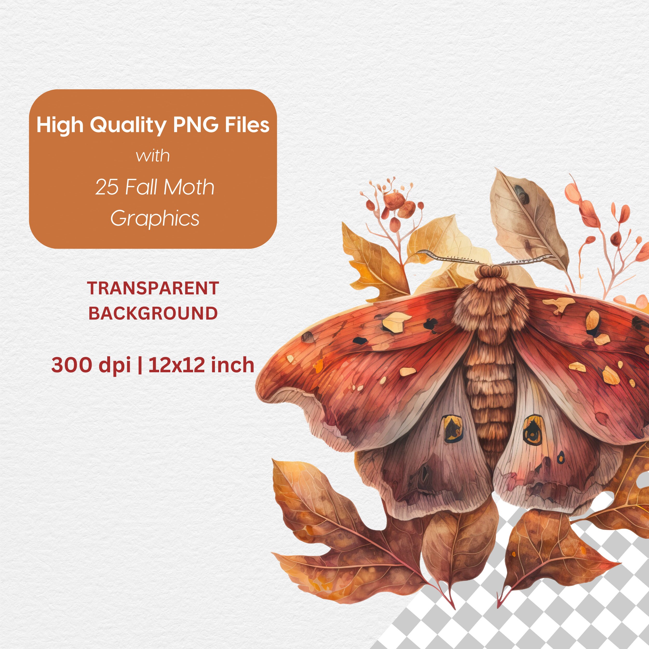 Watercolor Fall Moth Clipart Bundle, Whimsical Autumn PNG, Thanksgiving ...