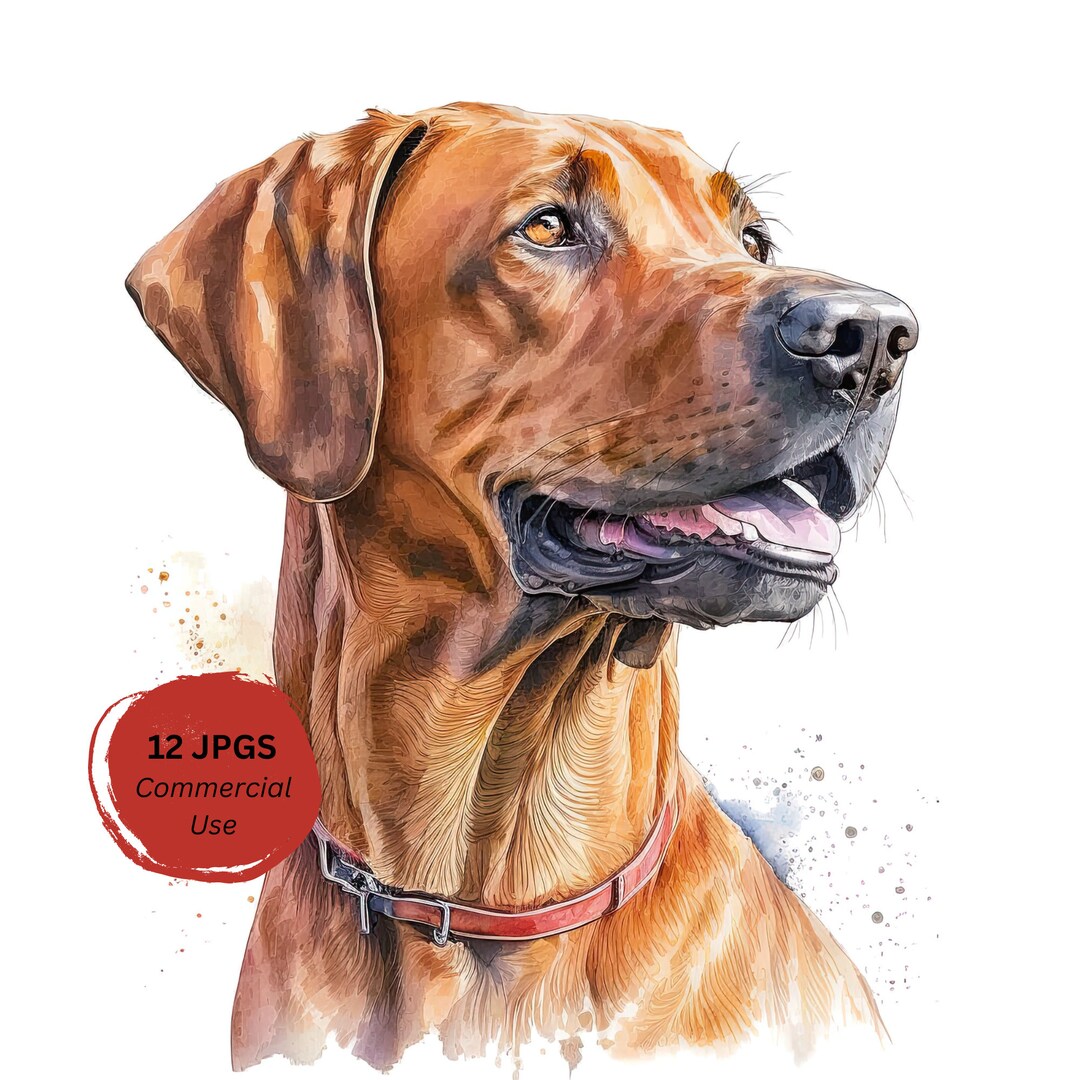 Watercolor Rhodesian Ridgeback Clipart Set, 300 Dpi JPG Files, Pet Clip ...