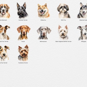 Dogs Cliparts Bundle, 100 Dog Breeds PNG, Cute Pet Watercolor, Lovely ...