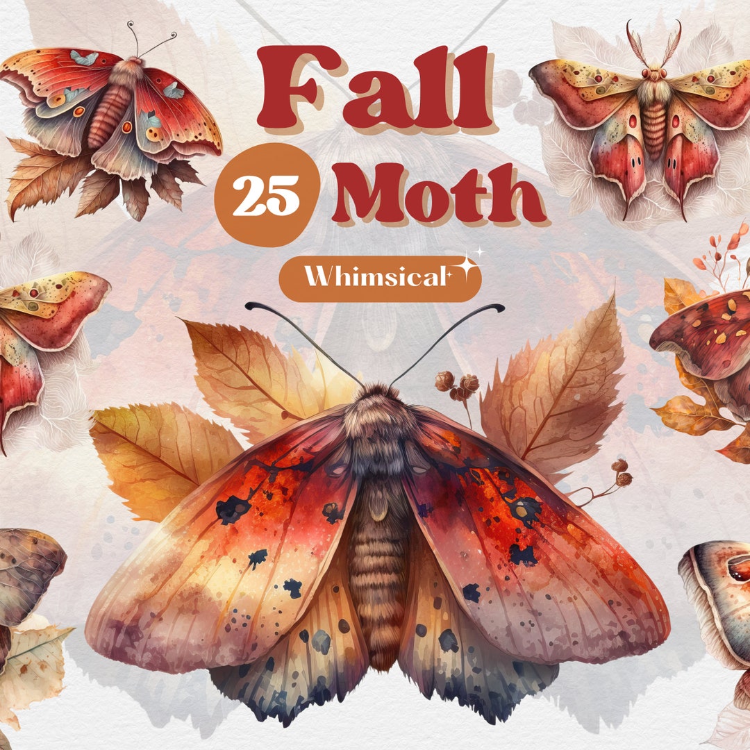 Watercolor Fall Moth Clipart Bundle, Whimsical Autumn PNG, Thanksgiving ...