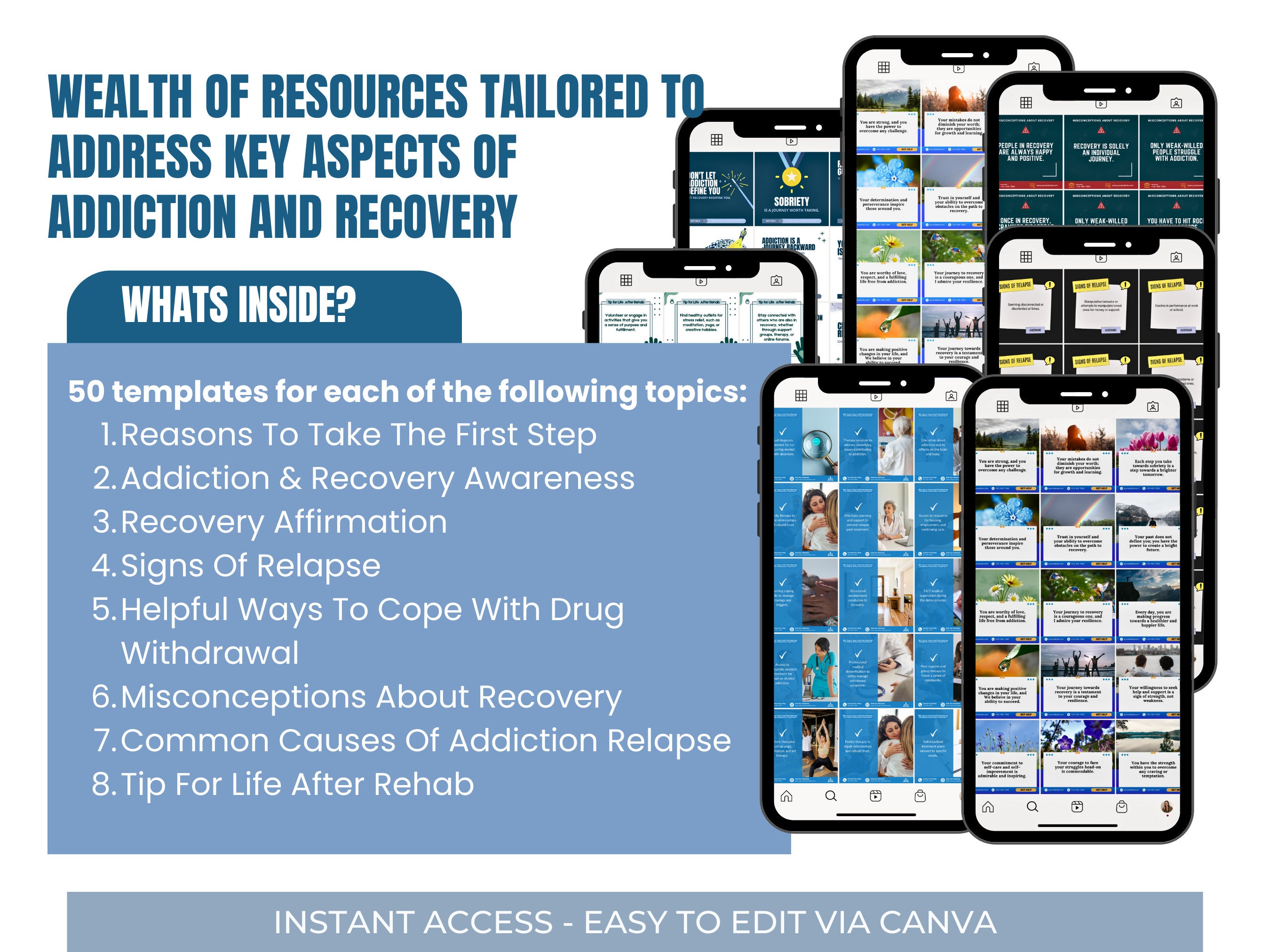 Sobriety Addiction Editable Canva Template E-book | Done for You Course ...