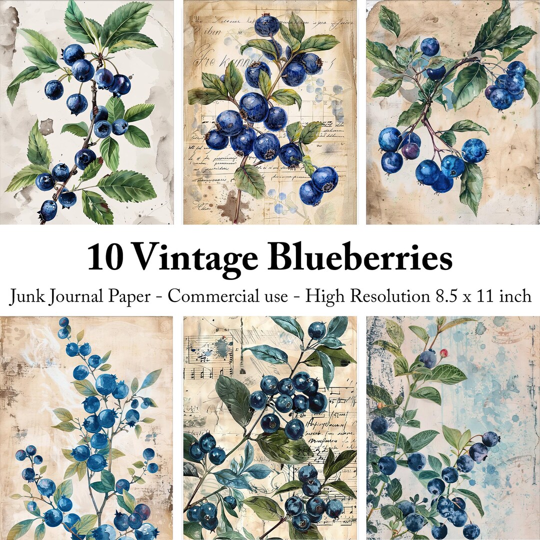 Rustic Blueberry Digital Paper: Vintage Botanical Illustrations ...