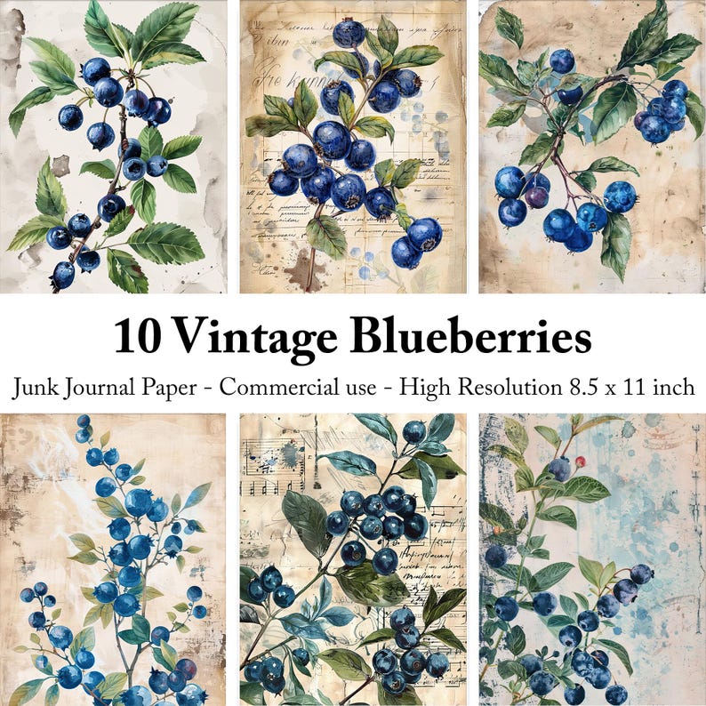 Rustic Blueberry Digital Paper: Vintage Botanical Illustrations ...