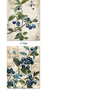Rustic Blueberry Digital Paper: Vintage Botanical Illustrations ...
