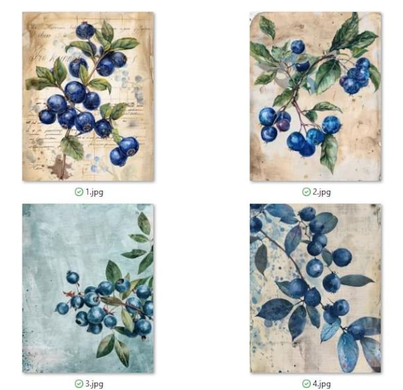 Rustic Blueberry Digital Paper: Vintage Botanical Illustrations ...