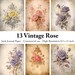 Vintage Rose Digital Paper: Romantic Scrapbook Ephemera (digital ...