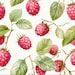 Raspberry Pattern Digital Paper | Fruit Pattern Digital Papers ...