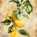 Vintage Lemon Digital Paper: Citrus Scrapbook Collage (digital Download ...