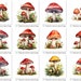 Mushroom Watercolor Clipart, Watercolor Forest Art, Fantasy Clipart ...