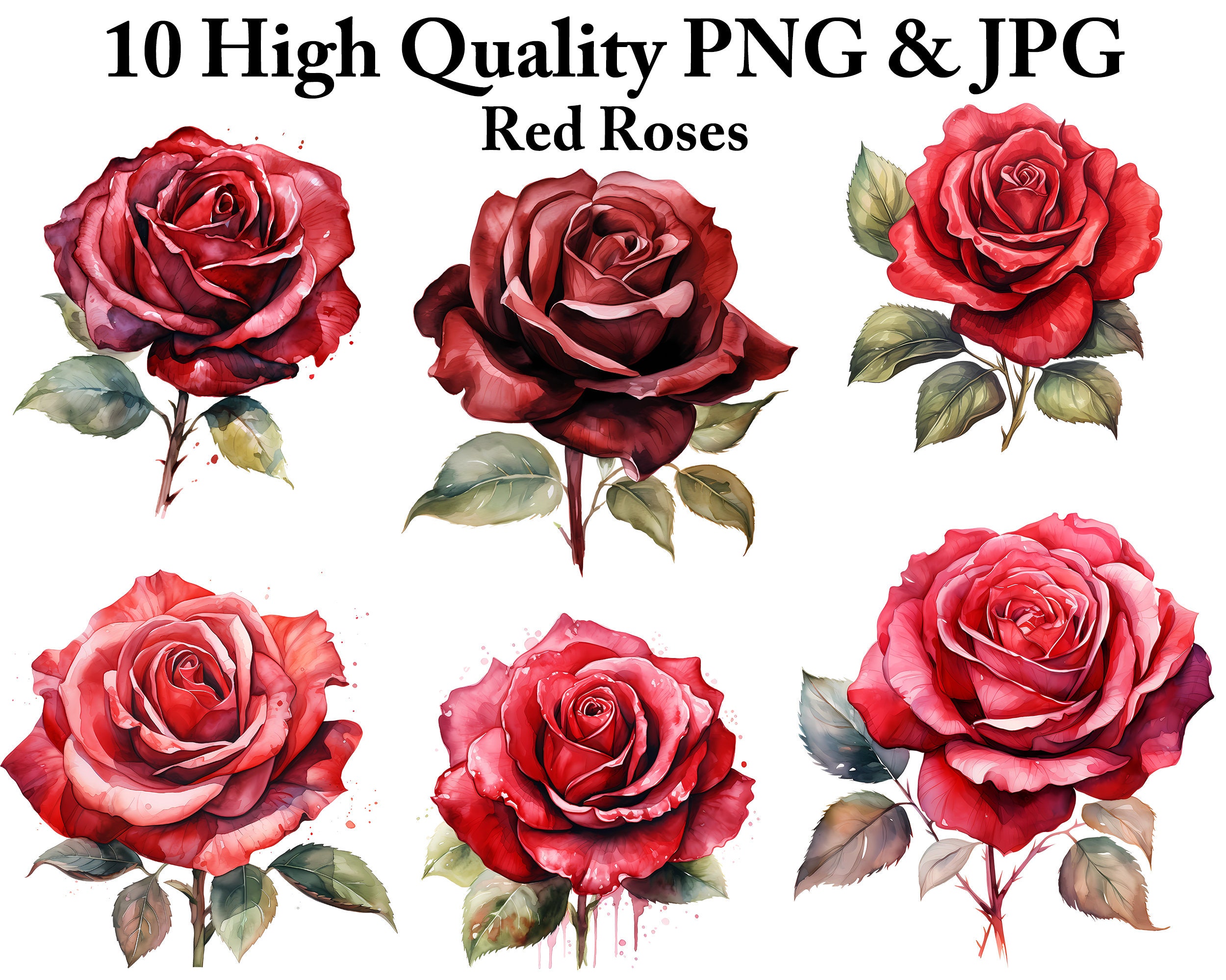 Red Rose Clipart, 10 High Quality PNG JPG, Digital Download, Watercolor ...
