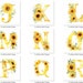 Sunflower Watercolor Alphabet Clipart: Floral Letters, Scrapbooking ...