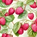 Raspberry Pattern Digital Paper | Fruit Pattern Digital Papers ...