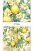 Lemon Bliss Digital Paper Set | Seamless Lemon Patterns | Zesty Fruit ...