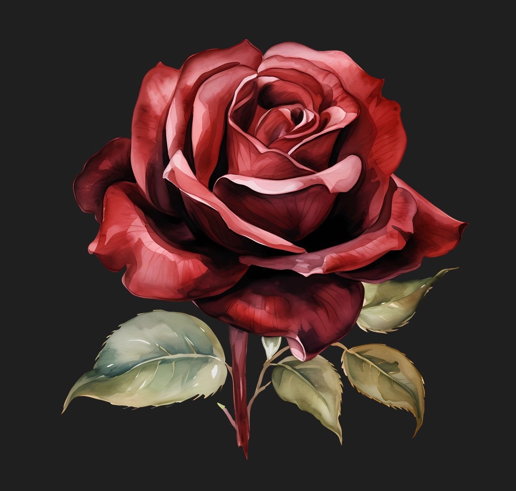 Red Rose Clipart, 10 High Quality PNG JPG, Digital Download, Watercolor ...