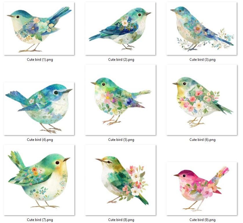Watercolor Floral Bird Clipart Bundle: Spring Ephemera (PNG JPG Digital ...