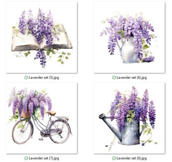 Lavender Watercolor Clipart Bundle PNG & JPG Lavender Flowers for ...