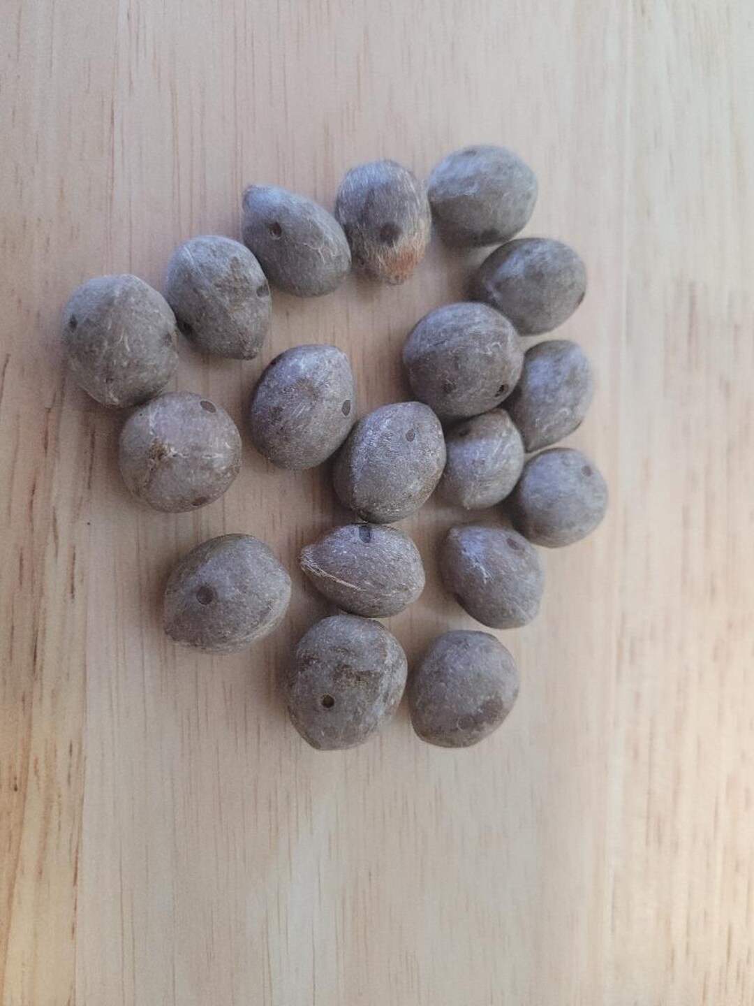 Butia Capitata Seeds - Etsy