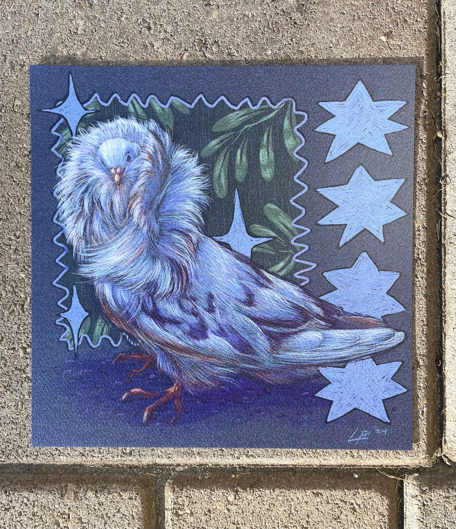Mini Blue Jacobin Pigeon Dove With Blue Stars Print 6 X 6 - Etsy
