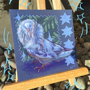 Mini Blue Jacobin Pigeon Dove With Blue Stars Print 6 X 6 - Etsy