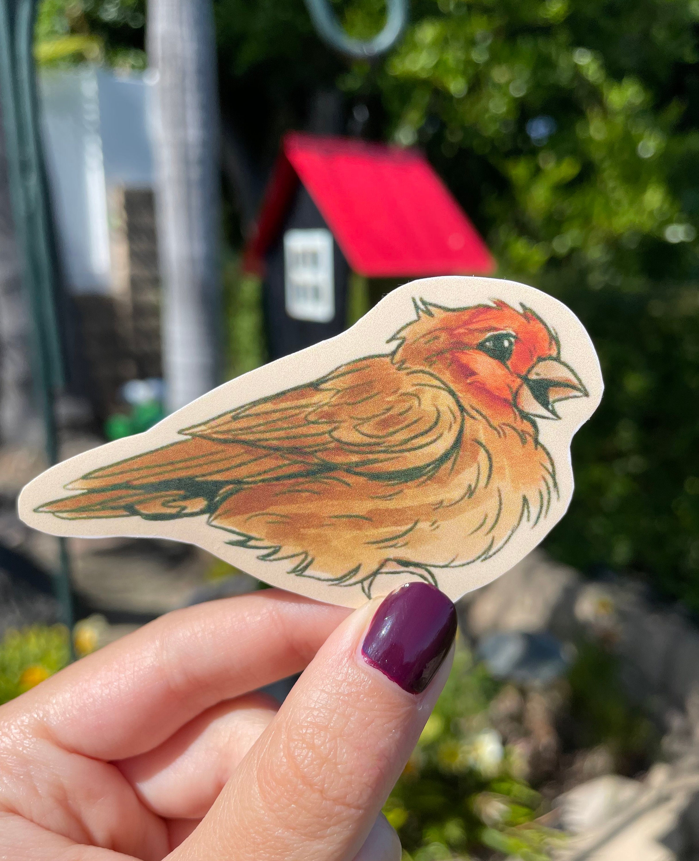 Glossy Housefinch Bird Sticker, Hand Drawn, Handmade, Hand Cut - Etsy