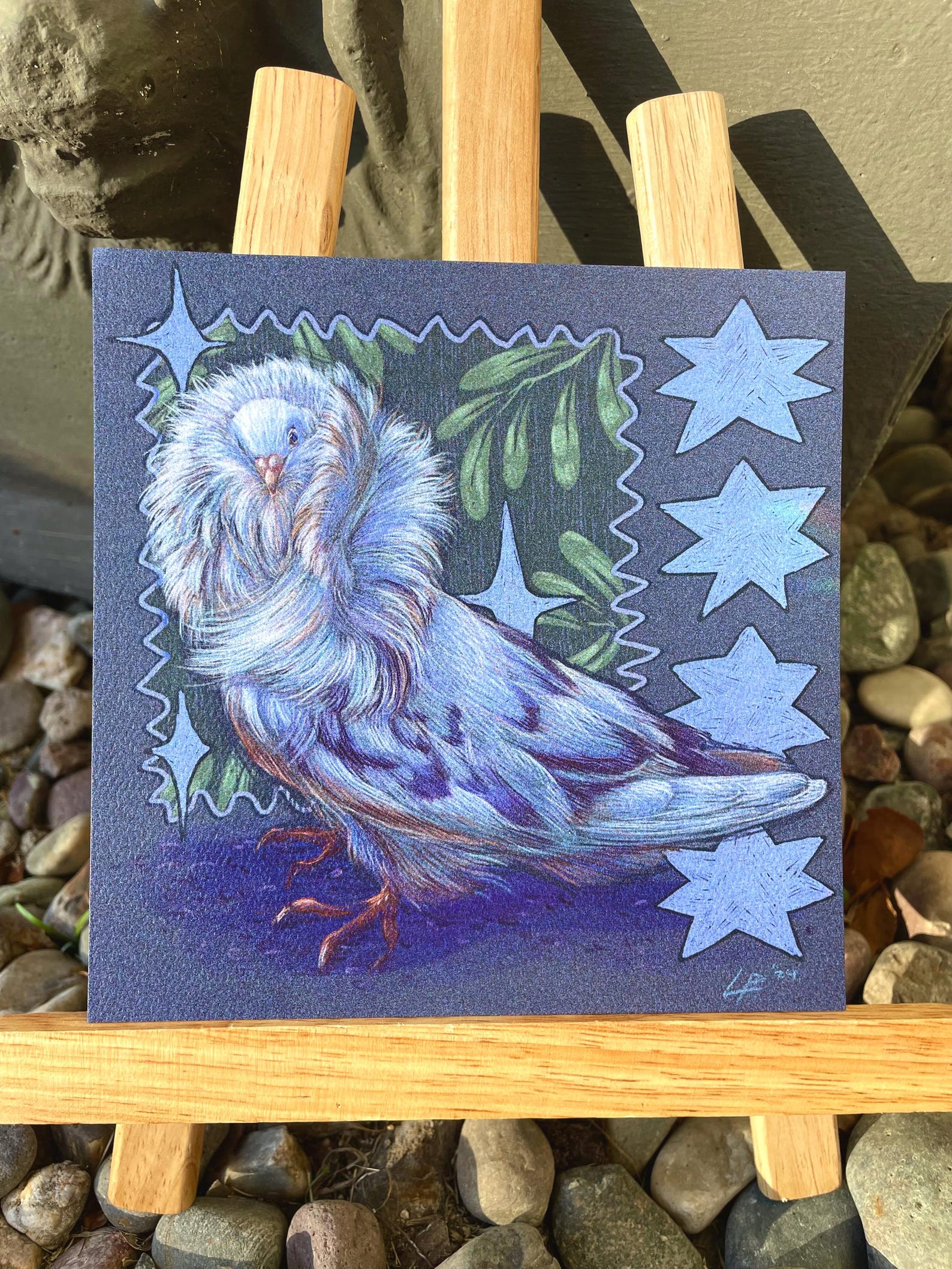 Mini Blue Jacobin Pigeon Dove With Blue Stars Print 6" X 6" - Etsy