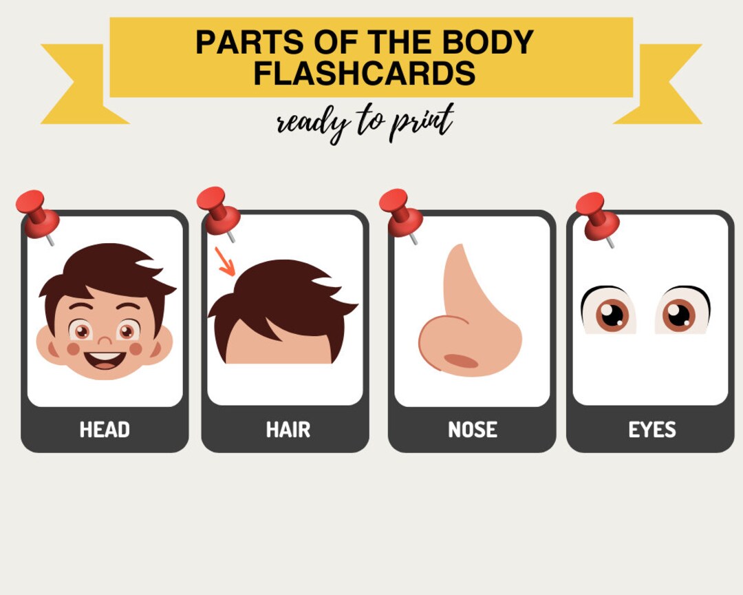 Parts of the Body Illustrative Colorful Body Parts Flashcards - Etsy