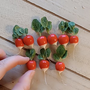 Realistic Miniature Radish, Food for Dollhouse Scale 1\6, 1/12 ...