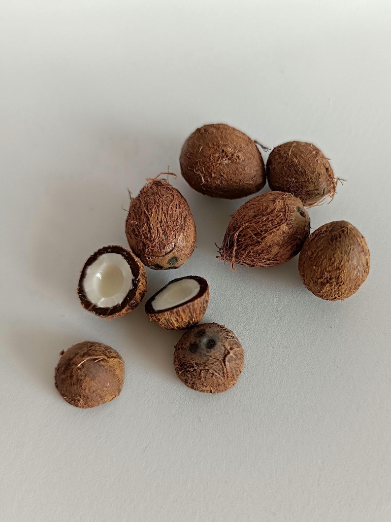 Miniature Realistic Coconut/ Tropical Fruit/ Jewelry Coconut/ for a ...