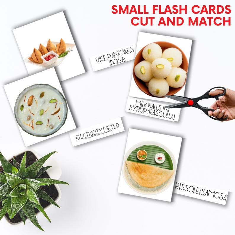 Learn Indian Food Flashcards Montessori Cards Flashcards Educational ...