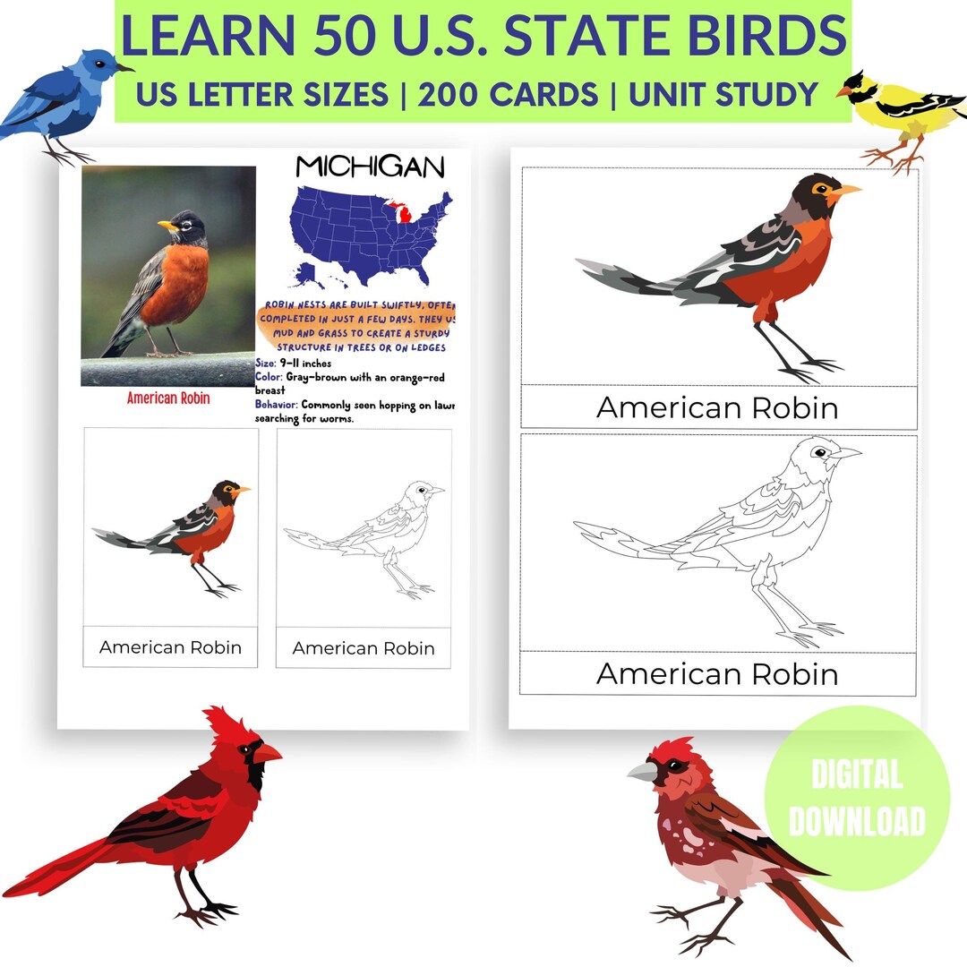 50 US State Birds Bird Flashcards for Preschool North American Birds ...