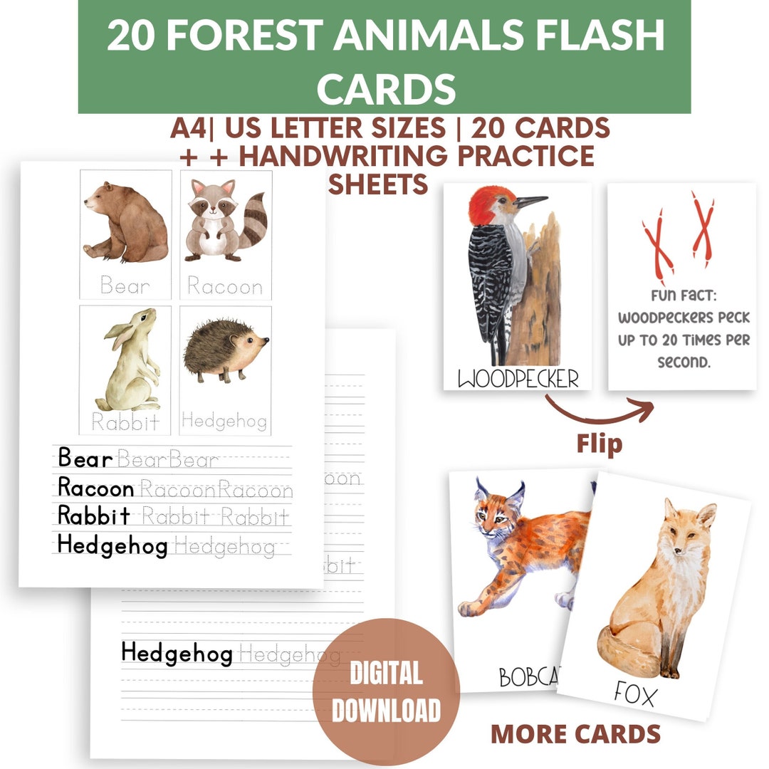 20 Forest Animals Flash Cards for Kids, Montessori Flash Cards, Pre ...