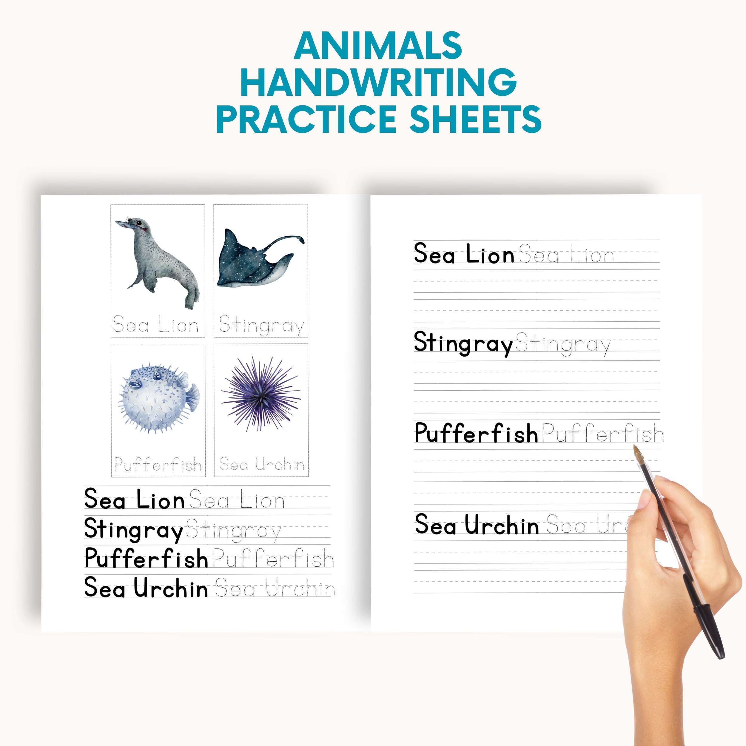 20 Ocean Animals Flash Cards for Kids, Homeschool Learning, Handwriting ...