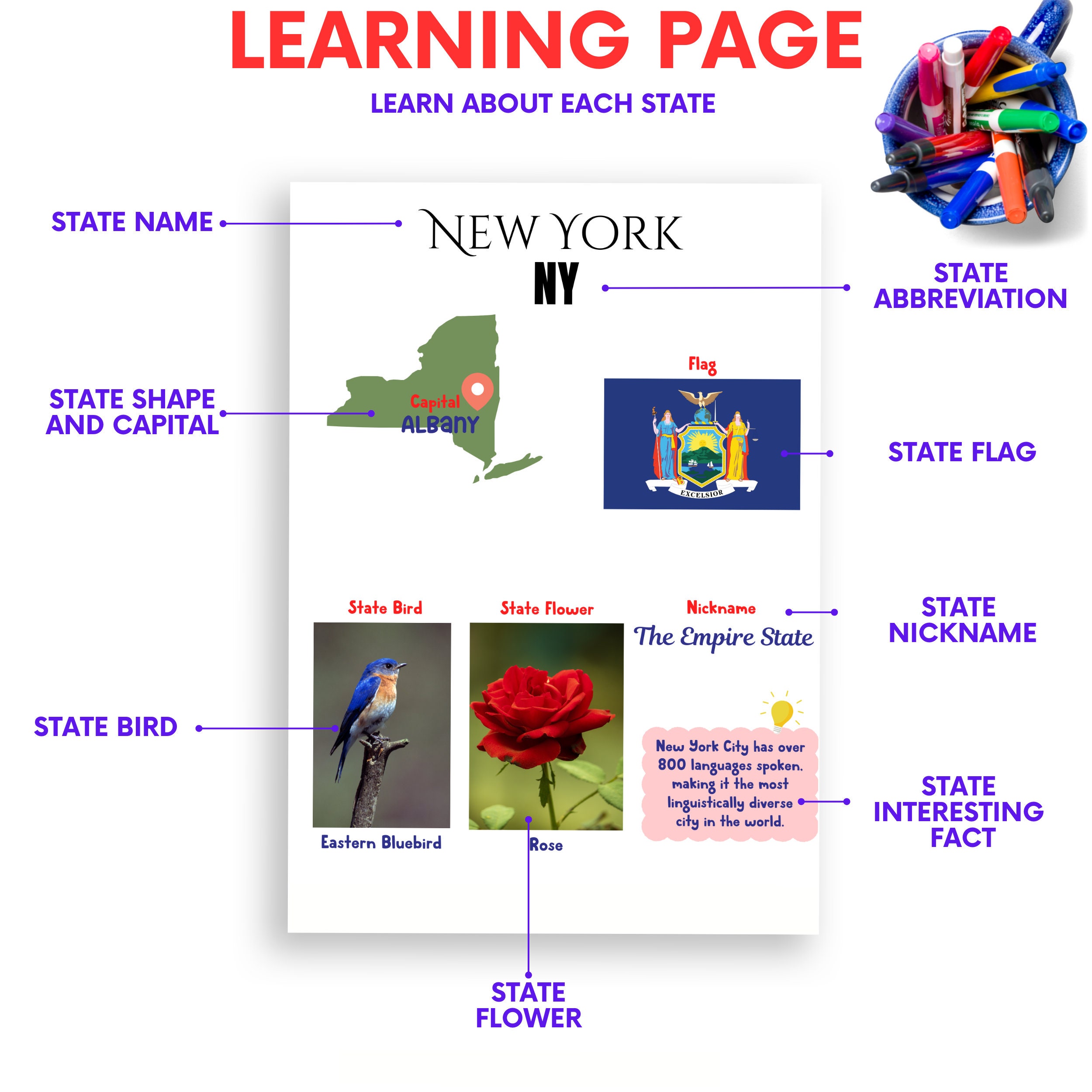 50 States Unit Study Fifty States Learning Guide State Capitals State ...