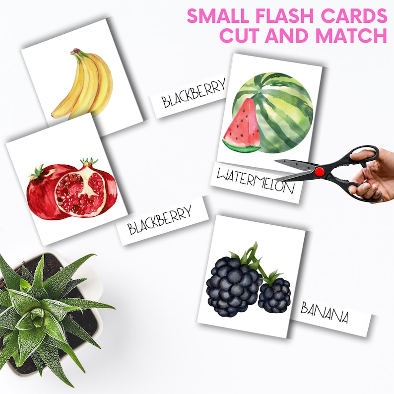 Fruits and Berries Flashcards Watercolor Montessori Cards Cute ...