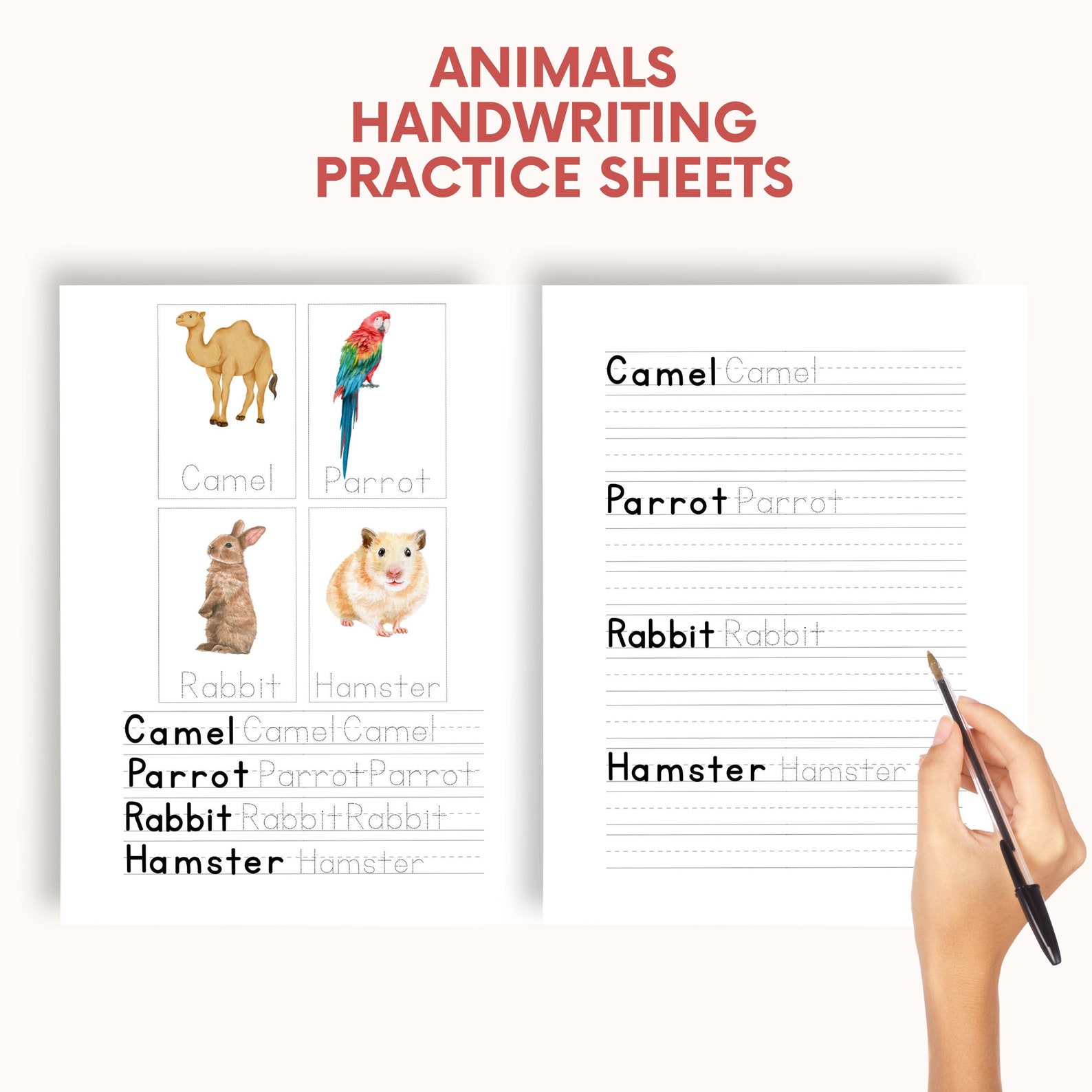 20 Farm Animals and Pets Flash Cards for Kids,pre-school Cards Learning ...