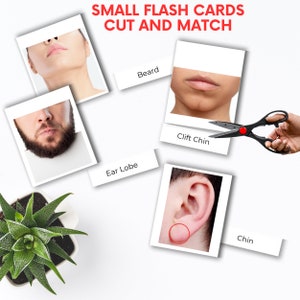 Skin and Hair Features Flashcards Face Skin and Hair Parts Montessori ...