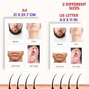 Skin and Hair Features Flashcards Face Skin and Hair Parts Montessori ...