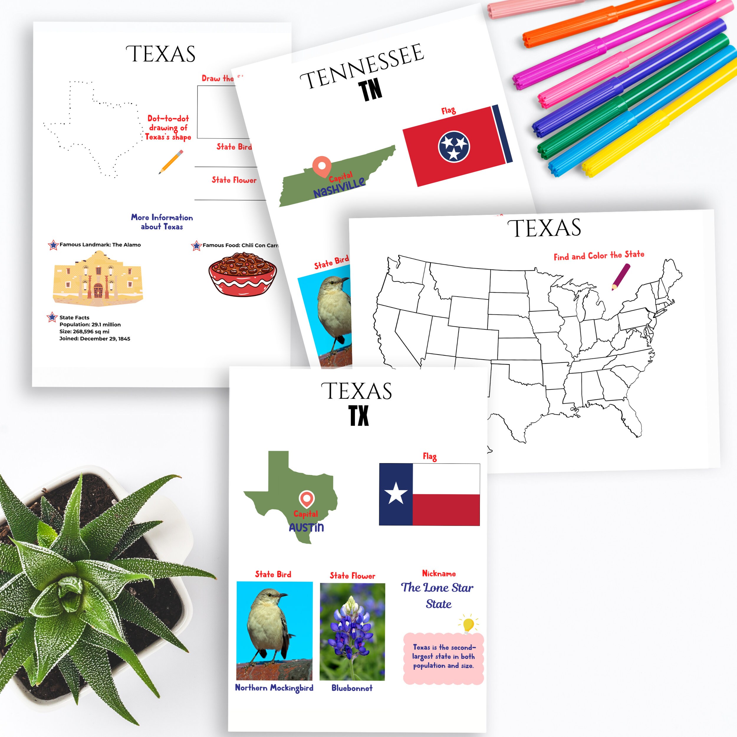 50 States Unit Study Fifty States Learning Guide State Capitals State ...