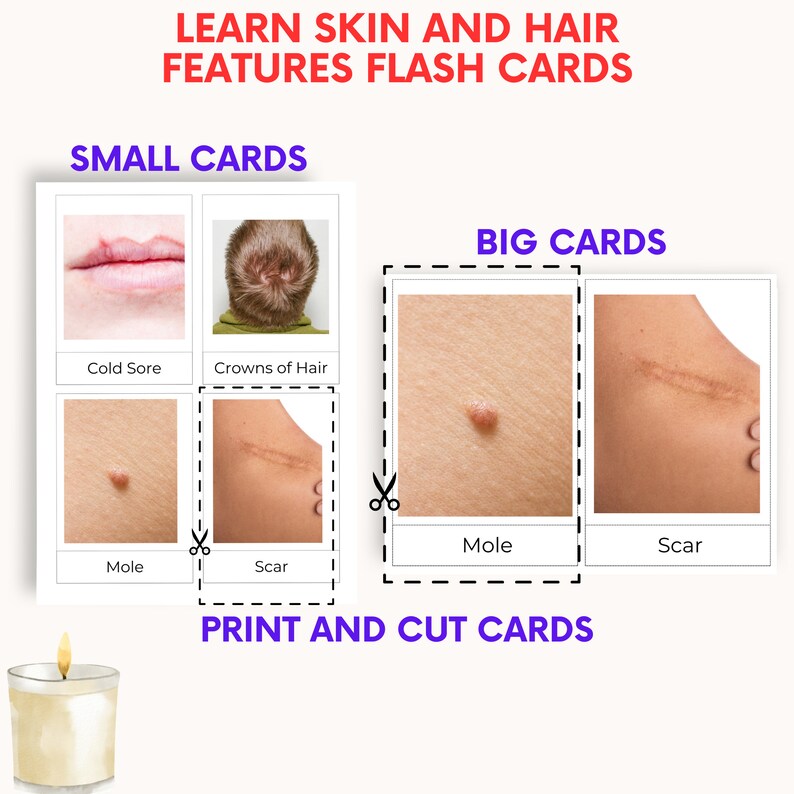 Skin and Hair Features Flashcards Face Skin and Hair Parts Montessori ...