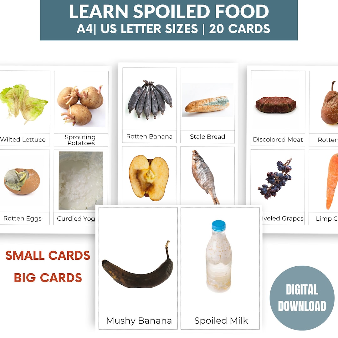 Spoiled Food Learning Flashcards for Kids Rotten Food Cards 3-part ...