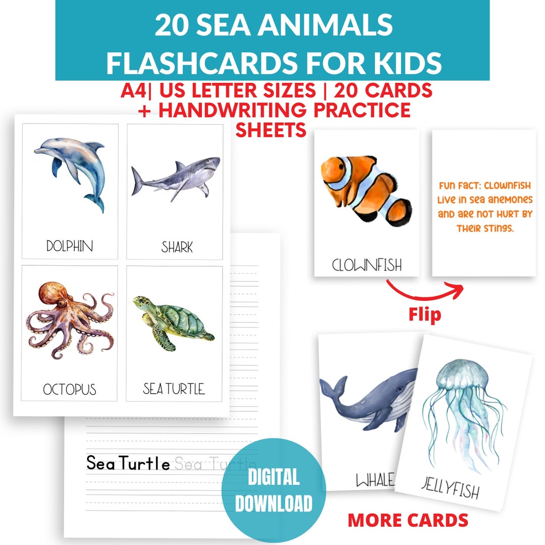 20 Sea Animals Flash Cards for Kids, Homeschool Learning, Handwriting ...