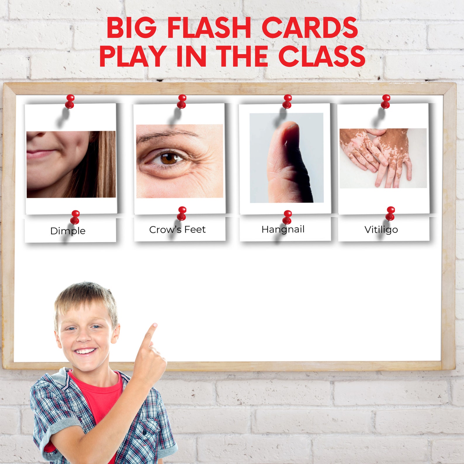 Skin and Hair Features Flashcards Face Skin and Hair Parts Montessori ...
