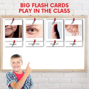 Skin and Hair Features Flashcards Face Skin and Hair Parts Montessori ...