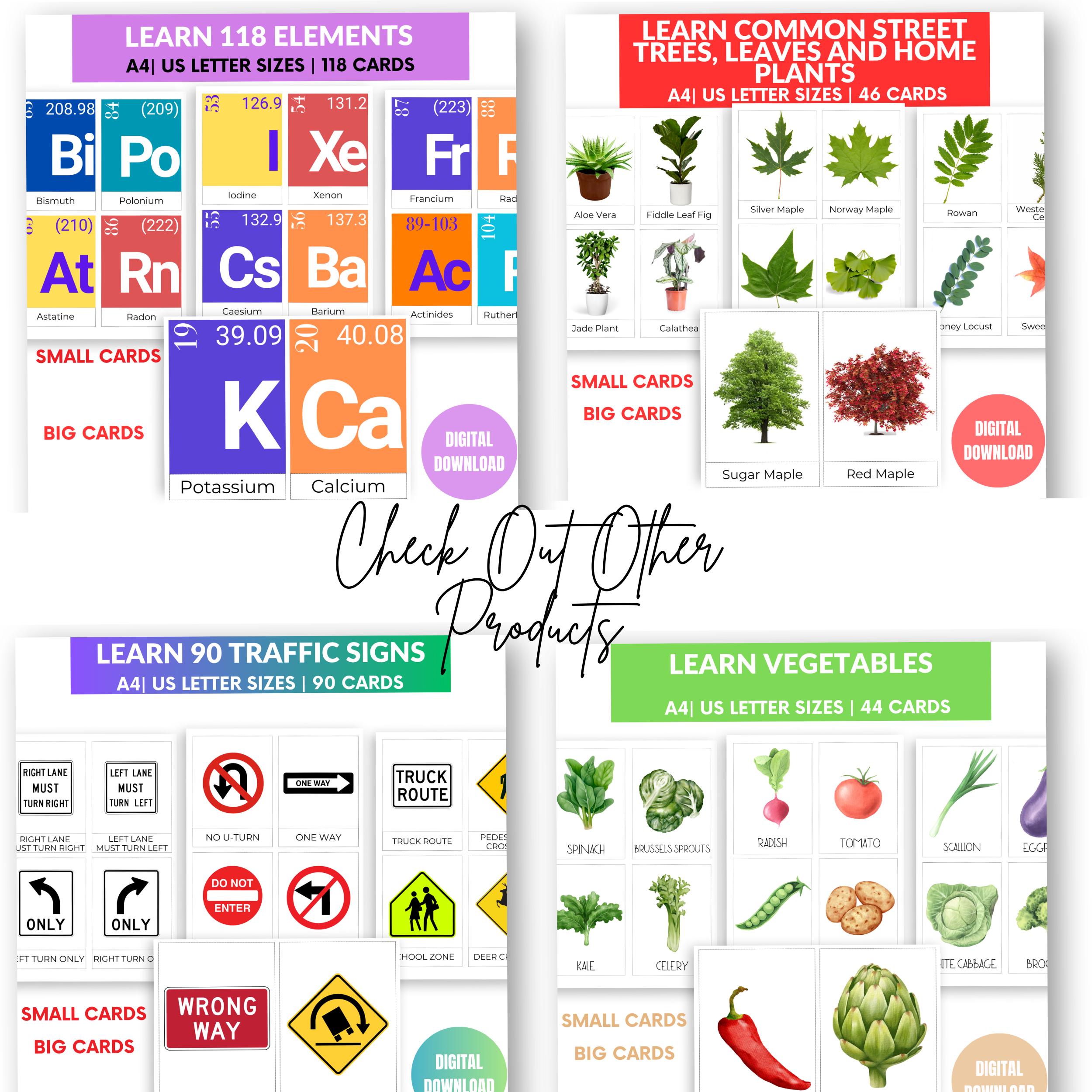 Learn Indian Spices Flashcards 38 Montessori Educational Cards ...