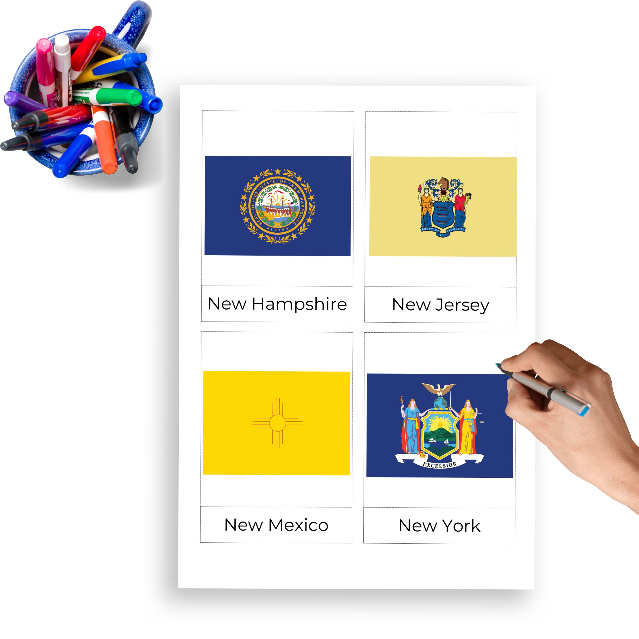 50 US State Flags Fifty State Flashcards 50 Cards Learning Guide State ...