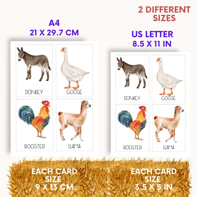20 Farm Animals and Pets Flash Cards for Kids,pre-school Cards Learning ...