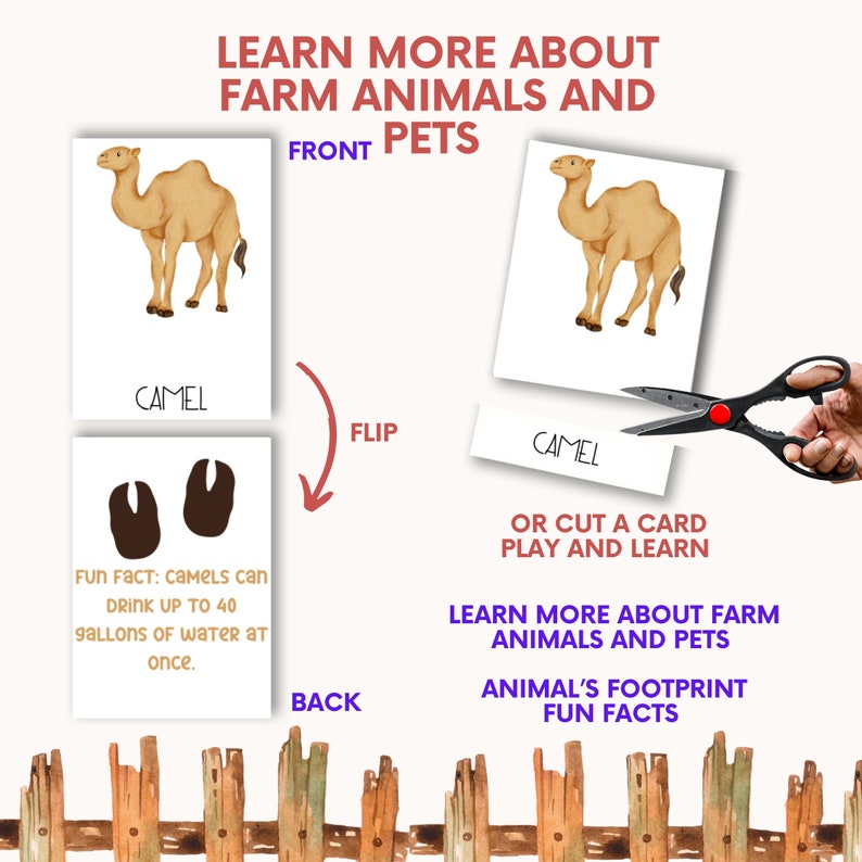 20 Farm Animals and Pets Flash Cards for Kids,pre-school Cards Learning ...