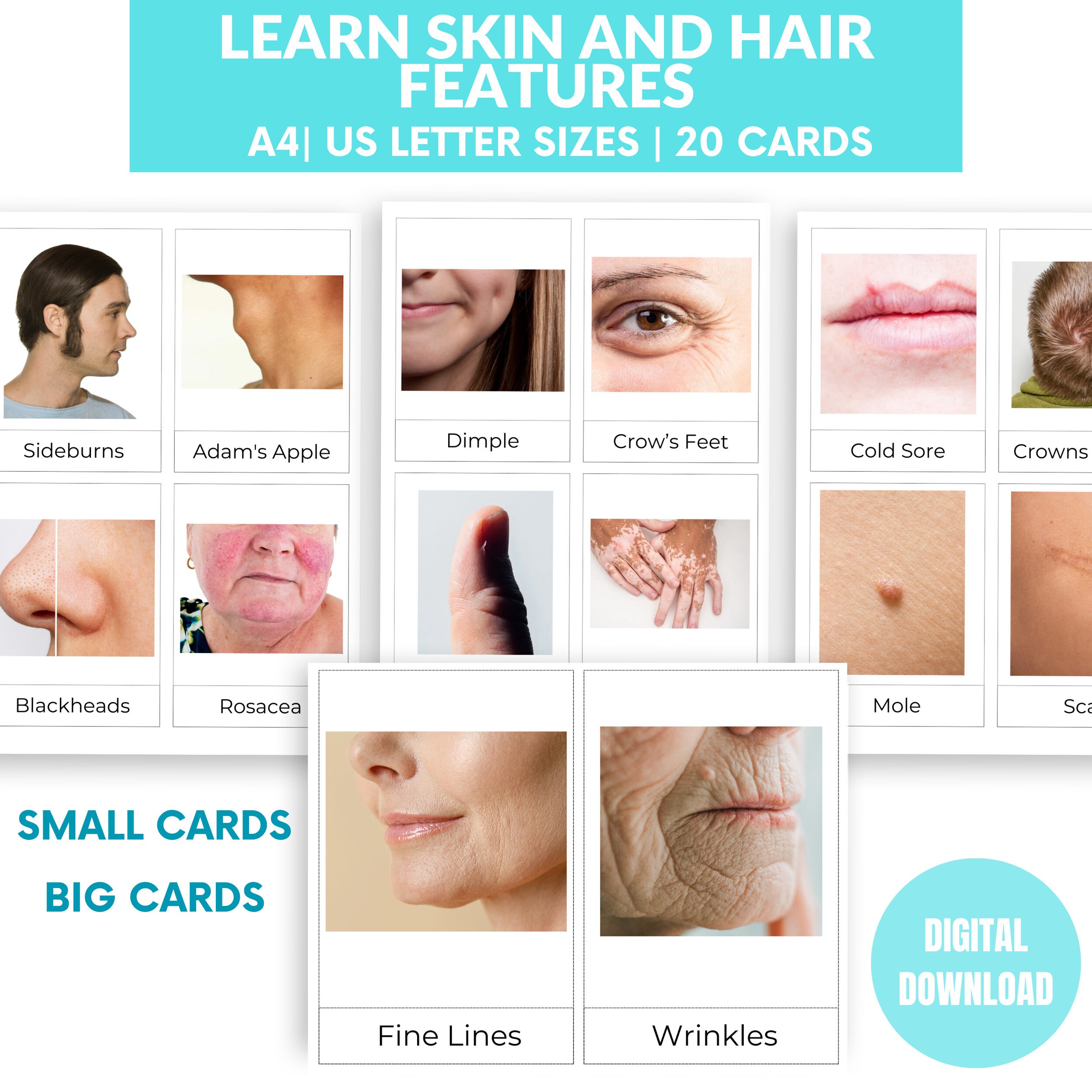 Skin and Hair Features Flashcards Face Skin and Hair Parts Montessori ...