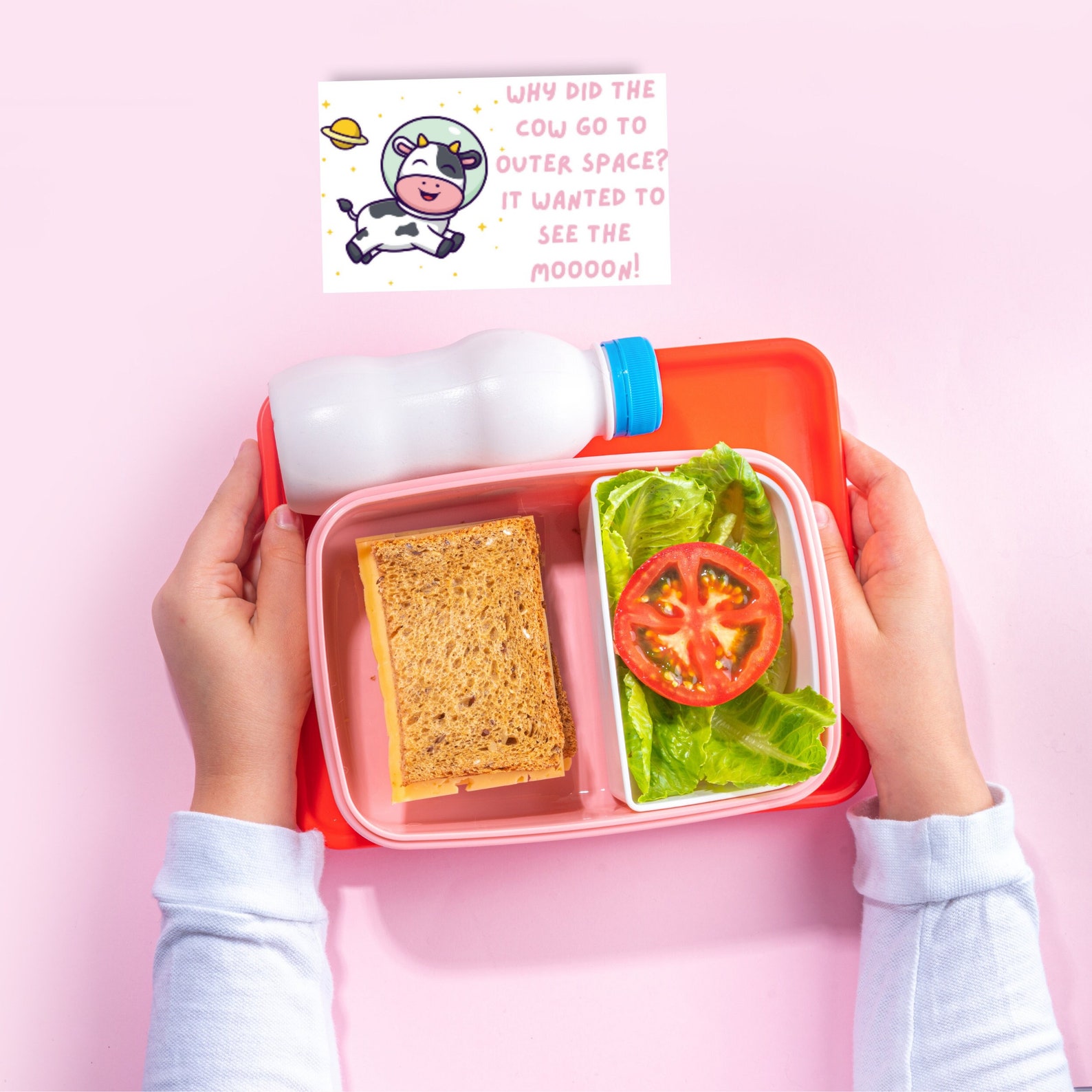 Joke Cards for Lunchboxes, Notes for Kids' Lunch Boxes,printable ...